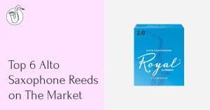 The 6 Best Alto Sax Reeds - Complete Reviews With Pictures - SaxHQ