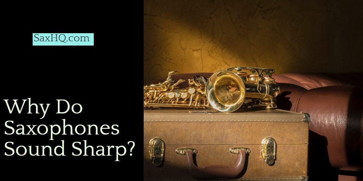 SaxHQ - Your #1 Resource for Everything Saxophone-Related